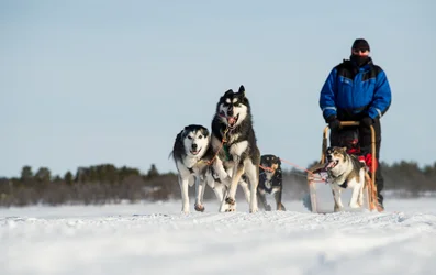 Sleigh Bells Ringing – Meet Santa in Lapland | Transun