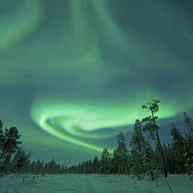 Contact us | Transun – Northern Lights, Arctic Circle & Lapland Holidays