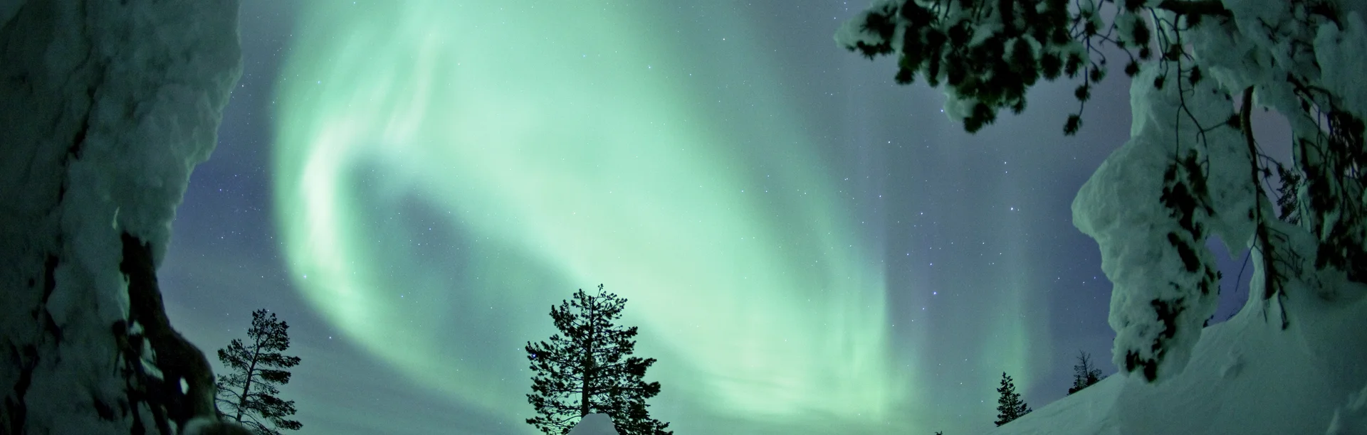 Arctic Spirit collection | Transun