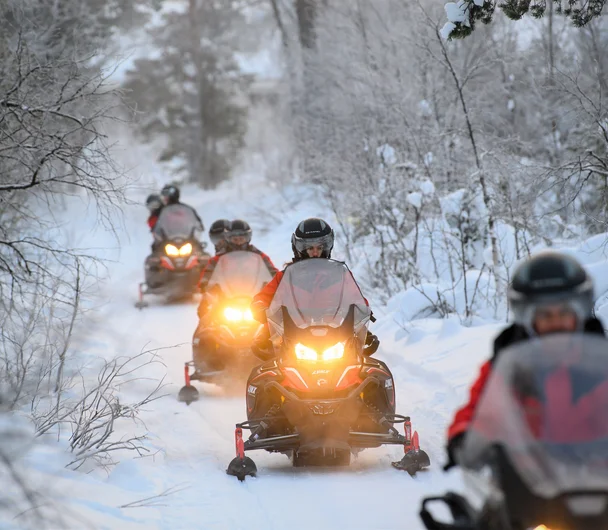 Transun | Northern Lights, Arctic Circle & Lapland Holidays